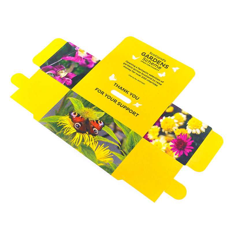 Value Home Collection Boxes | Care Fundraising Supplies